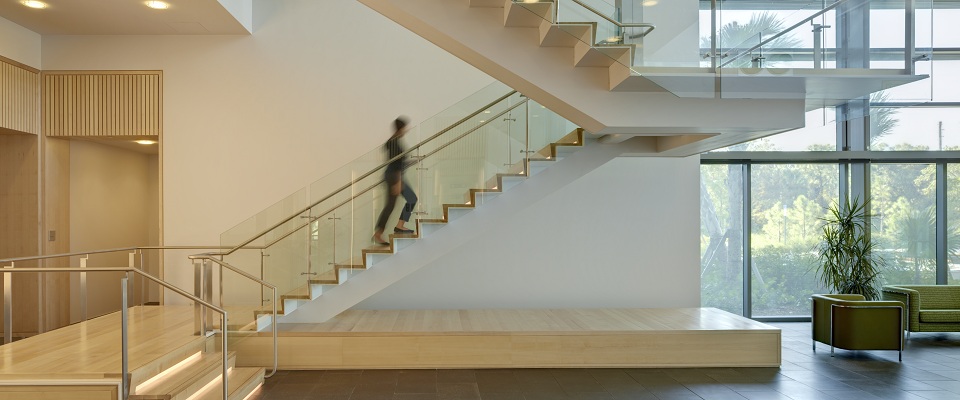 MCLA | Architectural Lighting Design